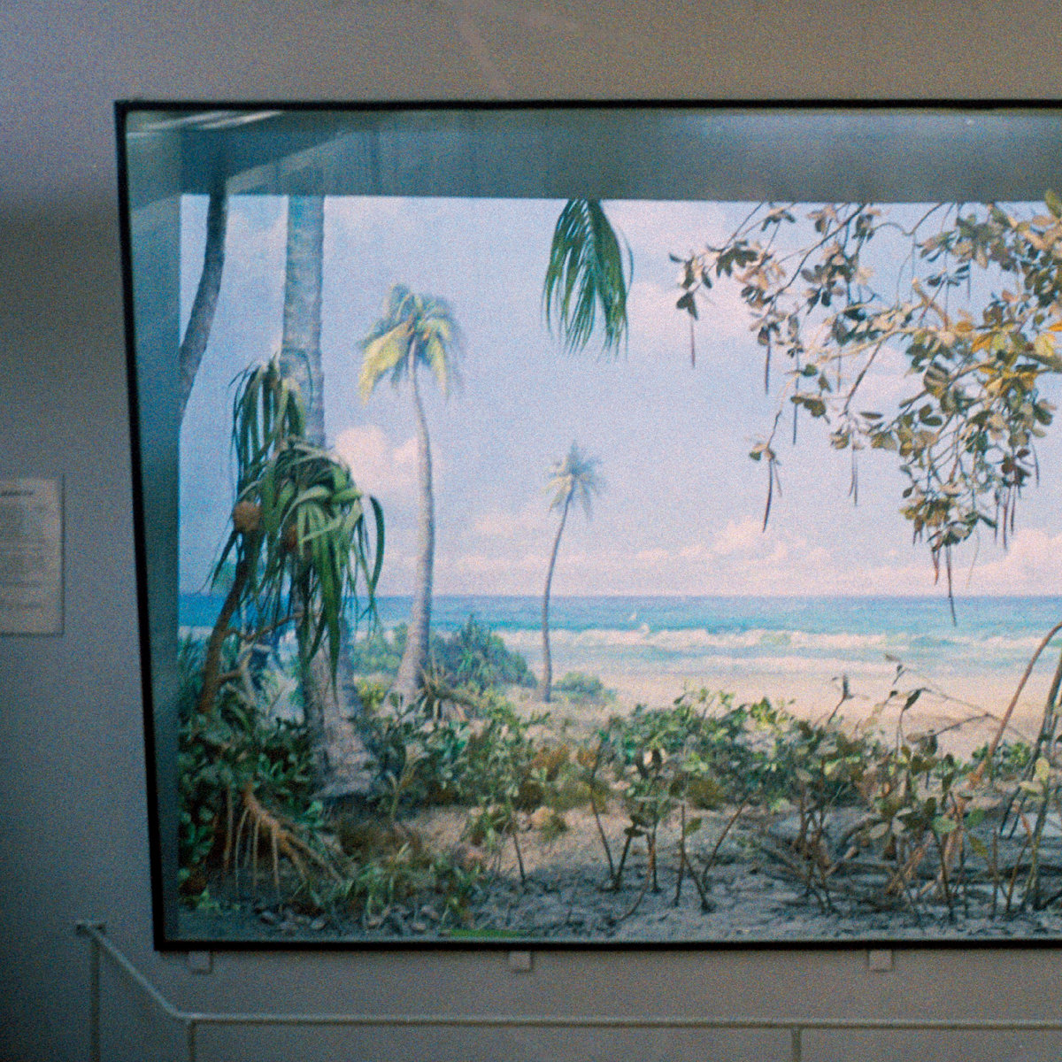 Creating your own futurism: An interview with Nikolaienko - SHAPE+