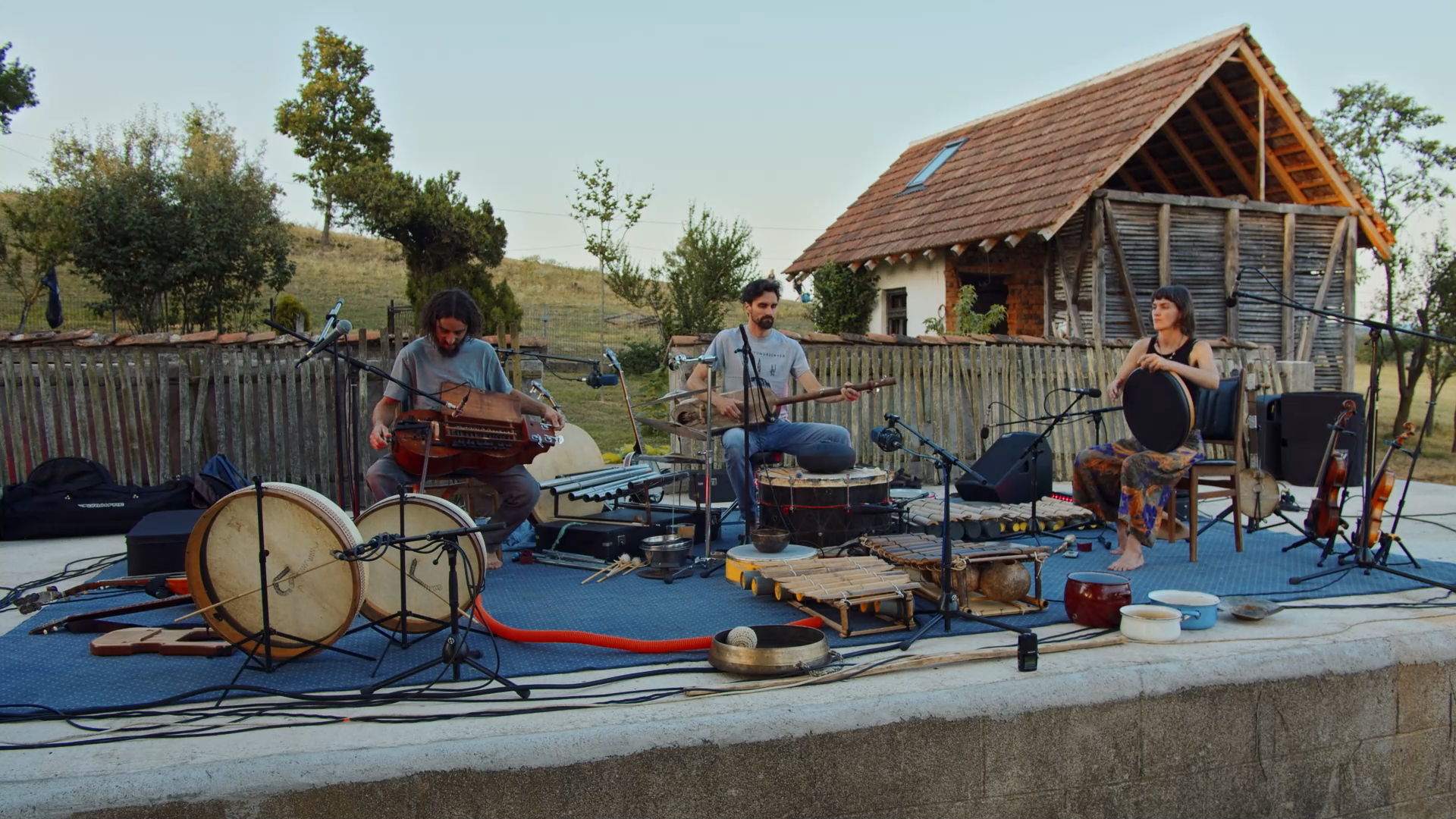 SHAPE+ announces showcases at festivals Polja and şien - SHAPE+